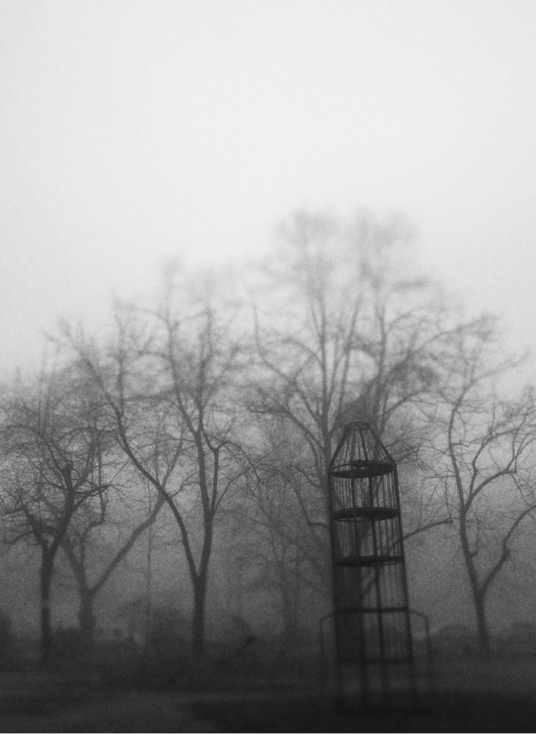 Words to describe foggy weather – grammaticus