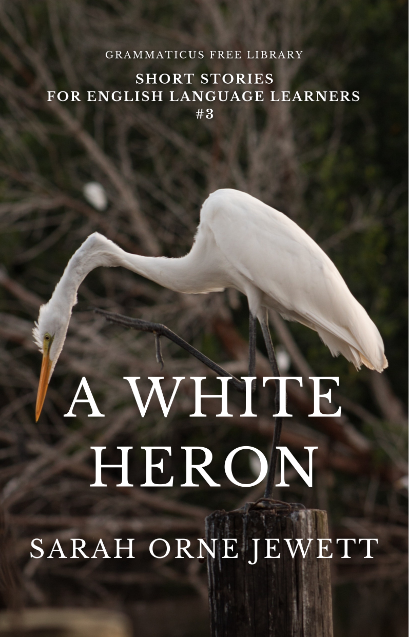 Library – grammaticus