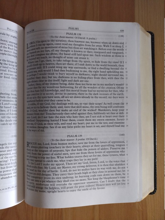 Unboxing the ‘Knox Bible’ – grammaticus
