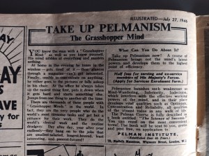 Pelmanism – grammaticus